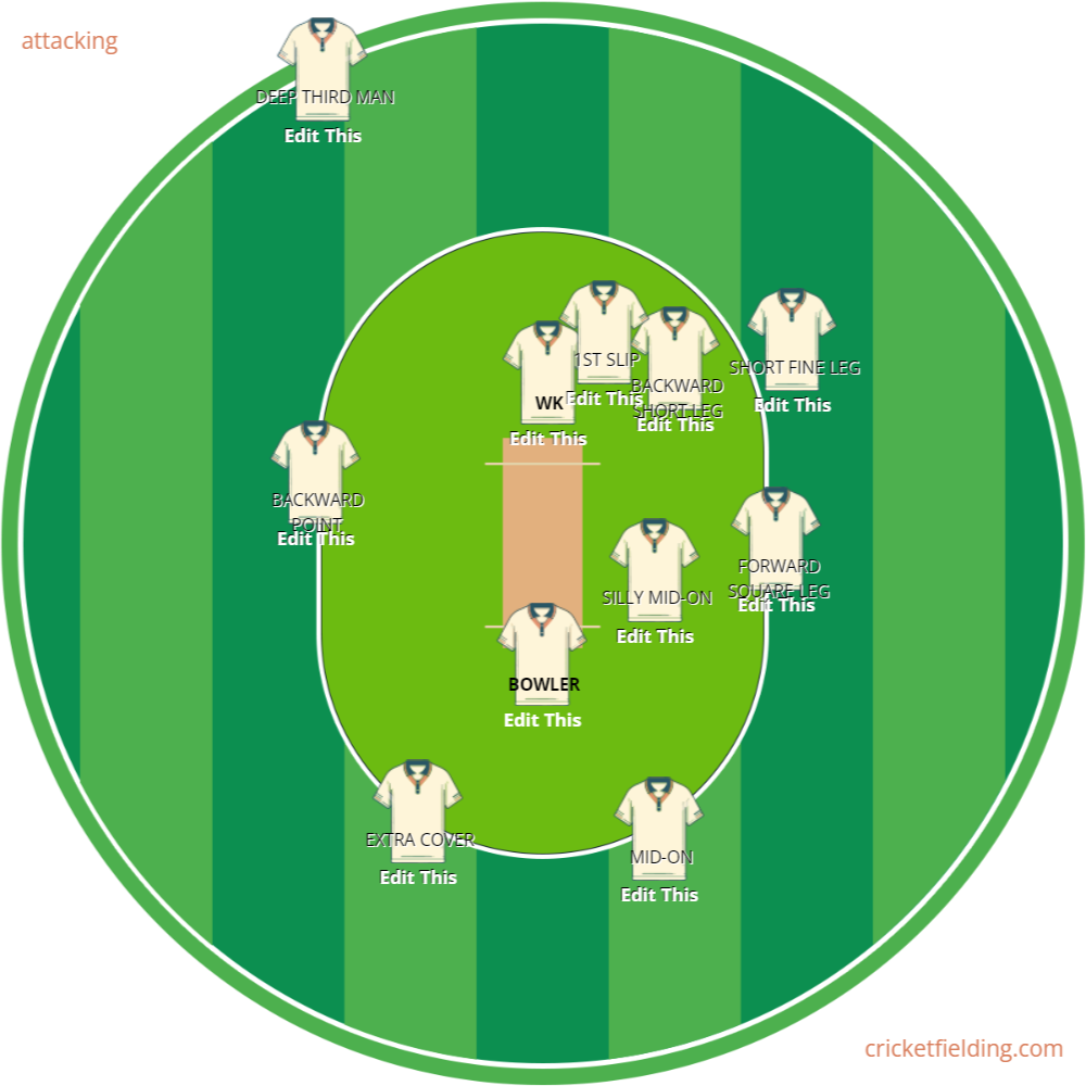 Cricket Fielding | Interactive Cricket Fielding Planner & Strategy Tool