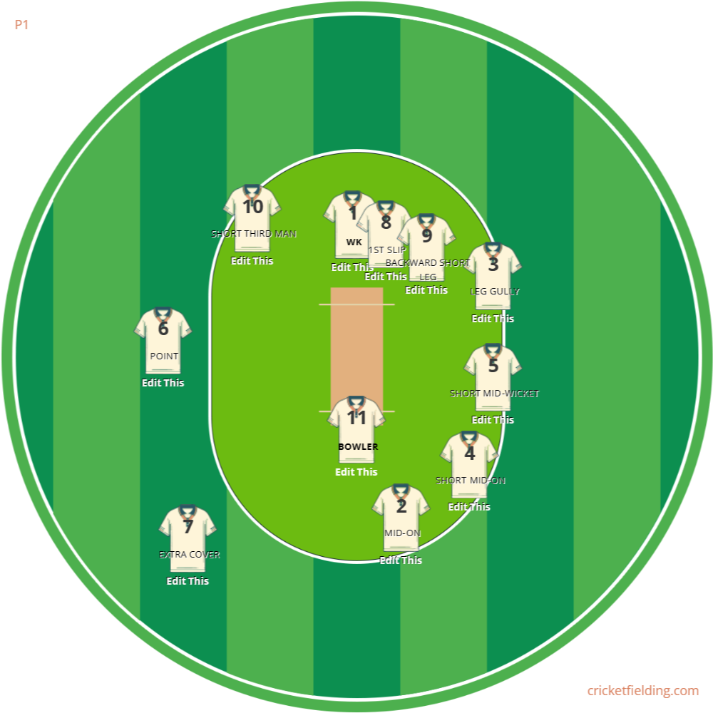 Cricket Fielding | Interactive Cricket Fielding Planner & Strategy Tool